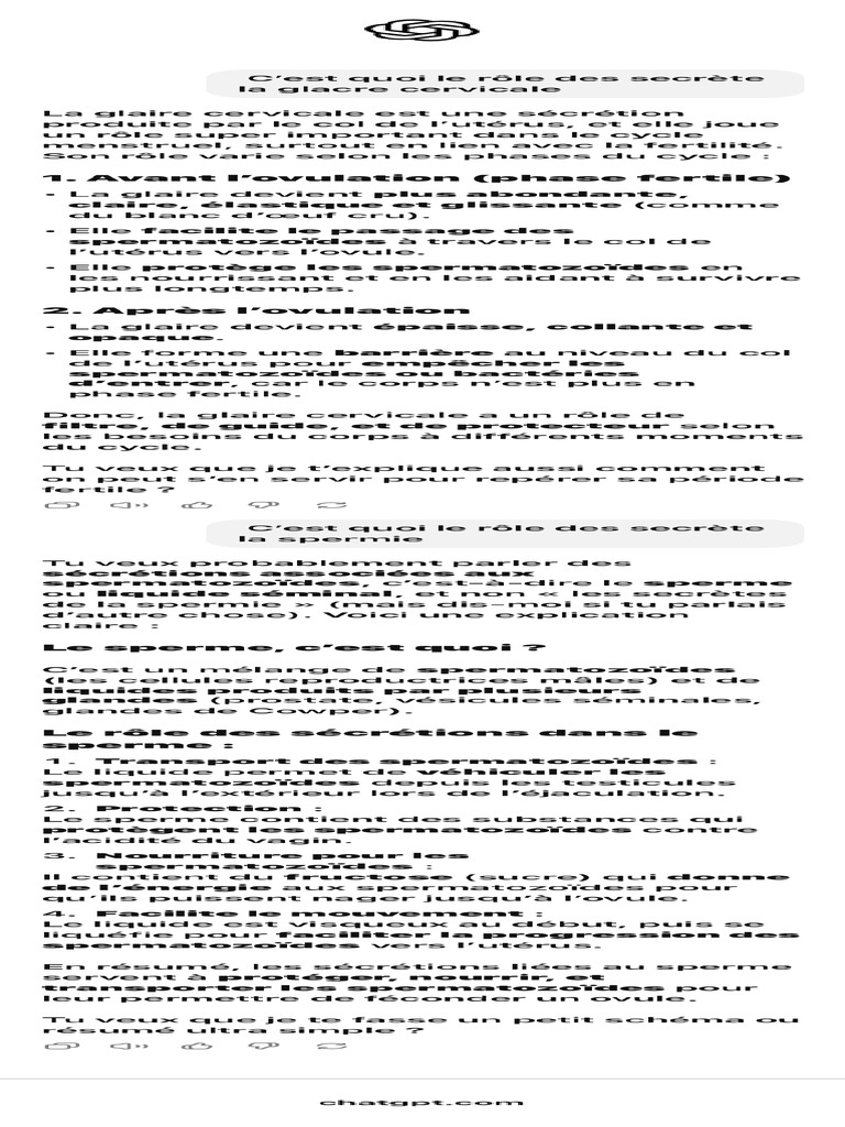 Rôle de La Glaire Cervicale | PDF
