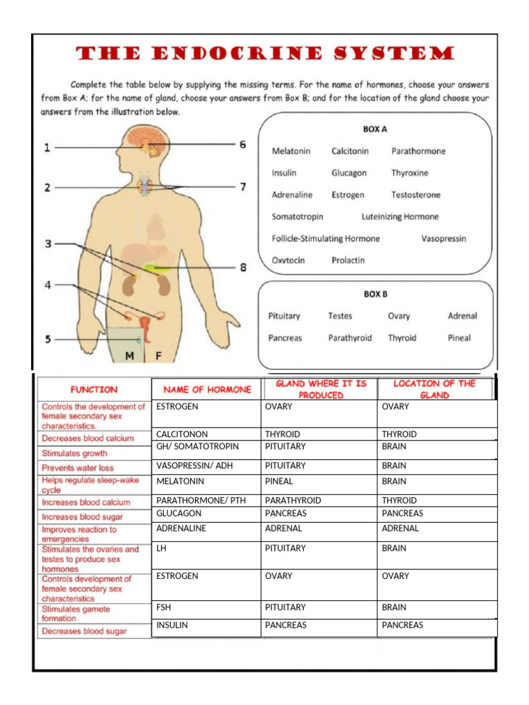 Activity G10 1-20 | PDF