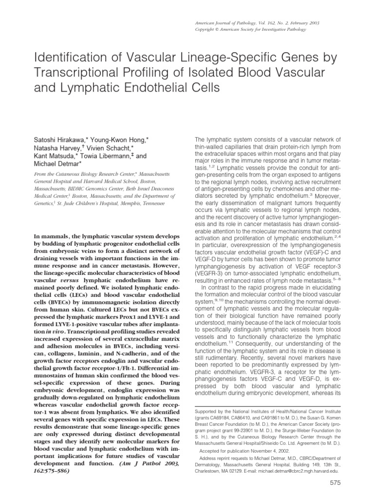 Hirakawa Et Al Am J Pathol 2003 | PDF | Endothelium | Extracellular Matrix