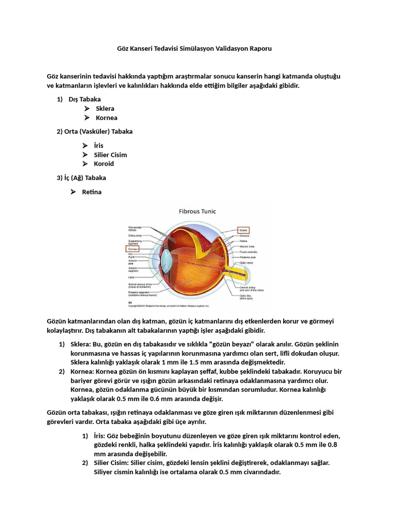 Göz Kanseri Tedavisi Simülasyon Validasyon Raporu | PDF