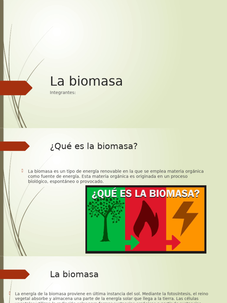 La Biomasa | PDF | Biomasa | Combustibles