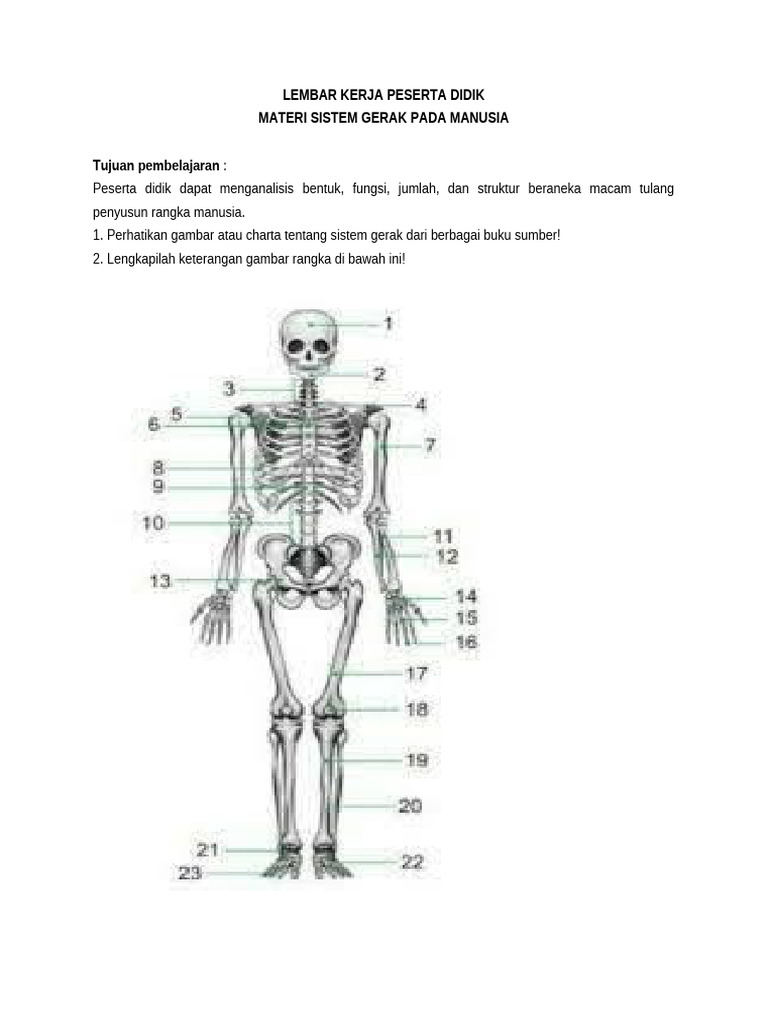 LKPD Sistem Gerak Rangka Dan Tulang Pada Manusia | PDF