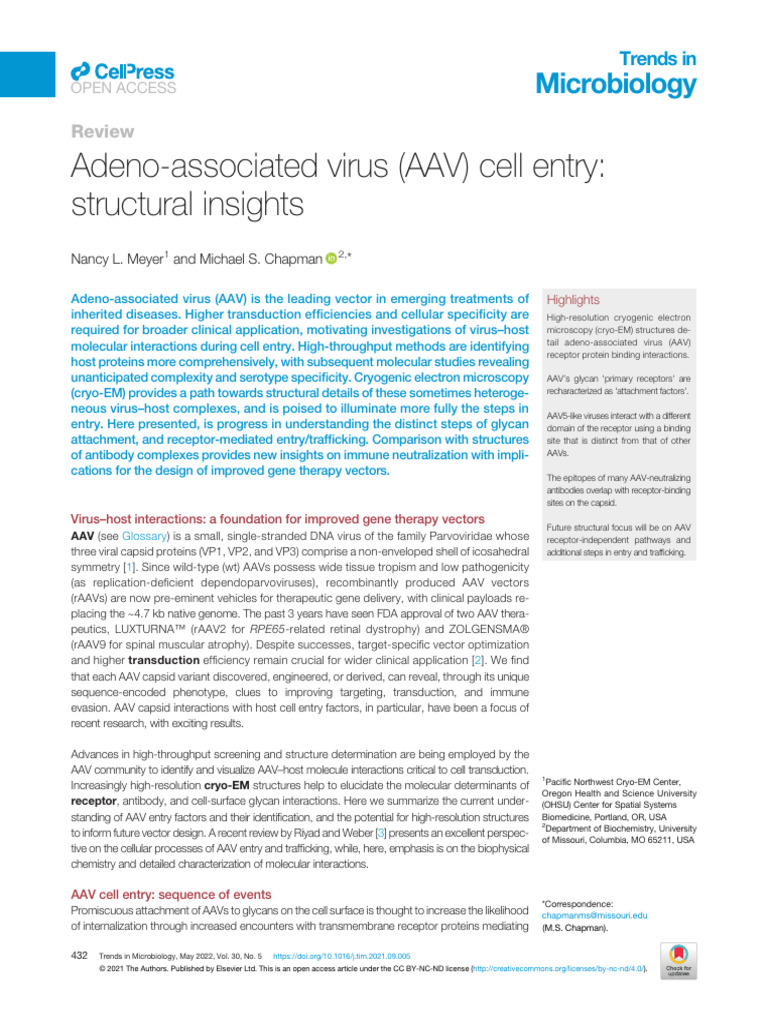 Adeno Associated Virus (AAV) Cell Entry Structura | PDF | Antibody | Virus