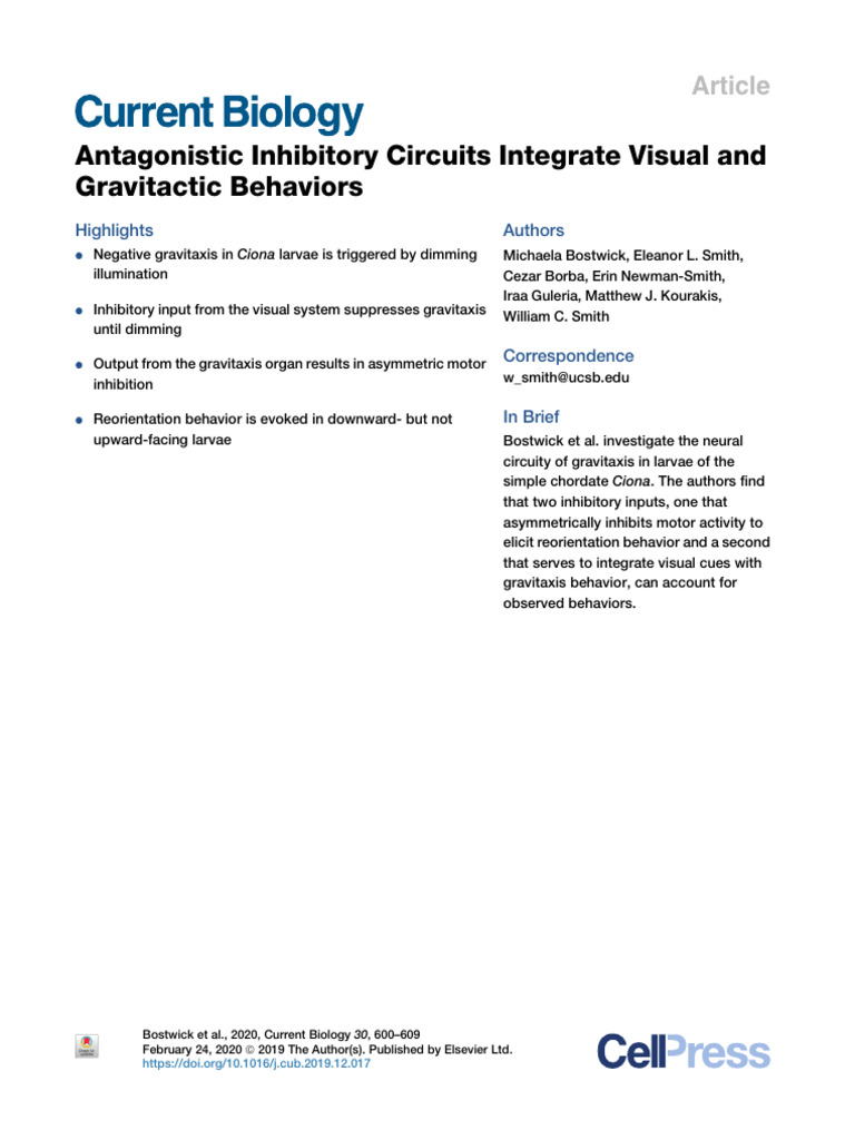 Antagonistic-Inhibitory-Circuits-Integrate-Visual- | PDF | Nervous ...