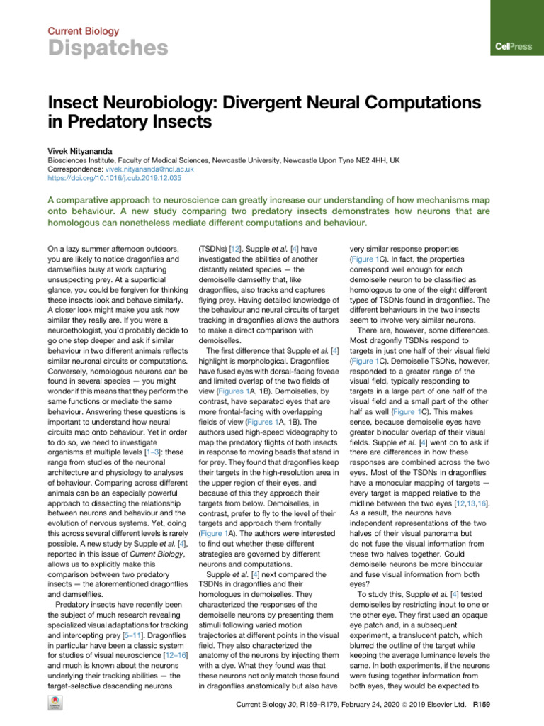 Insect-Neurobiology--Divergent-Neural-Computations | PDF | Eye | Predation