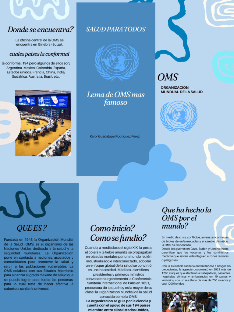 OMS: Historia y Objetivos Globales | PDF | Organización Mundial de la ...
