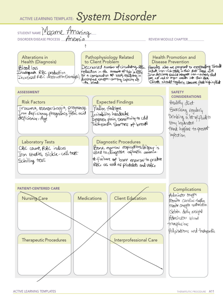 ActiveLearningTemplate - Sysdis 2 | PDF | Anemia | Tissue (Biology)