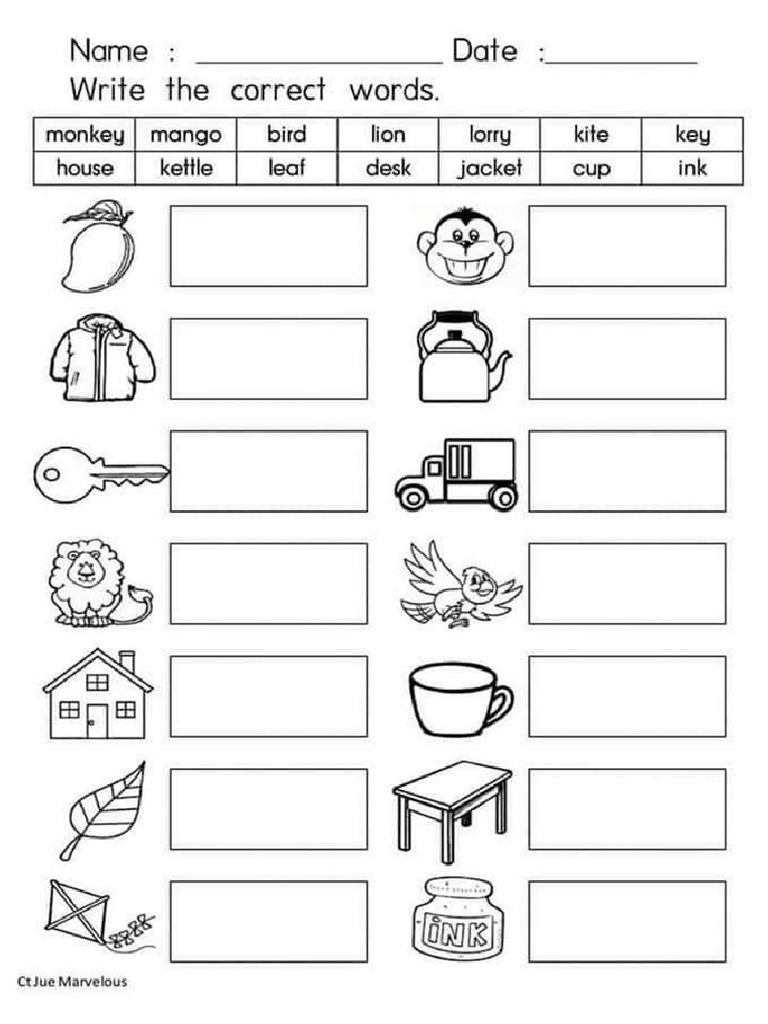 English Year 1 (Vocabulary) | PDF