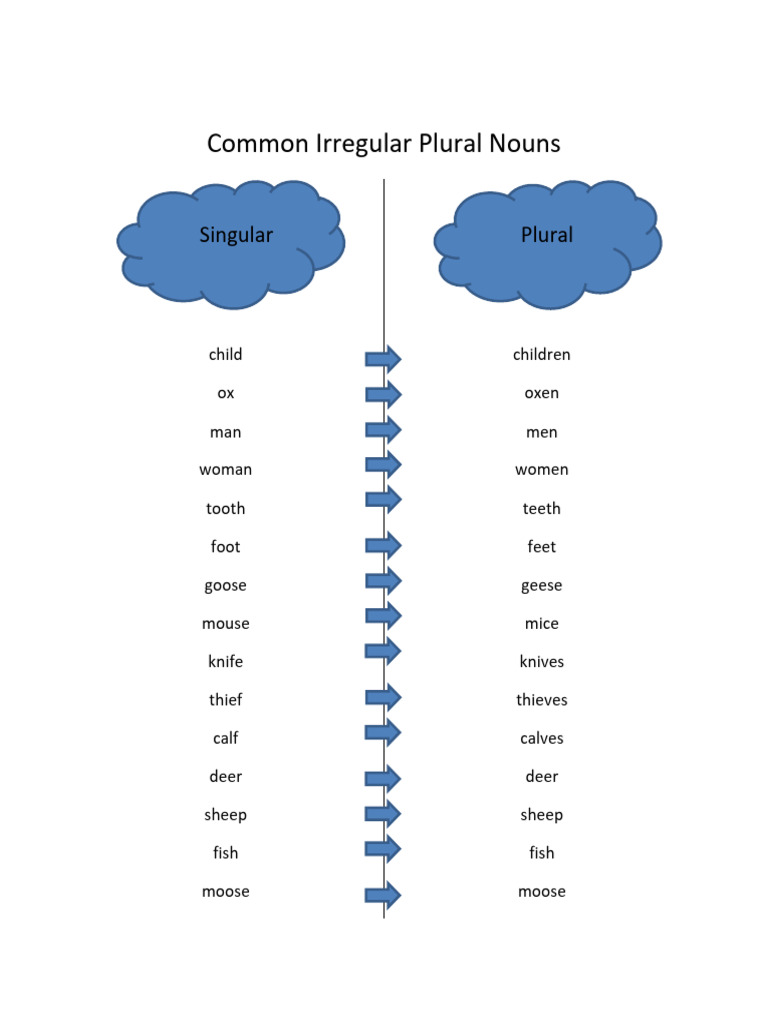 Common Irregular Plural Nouns | PDF