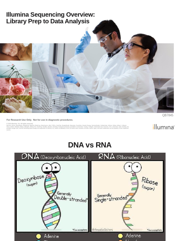 7845 Illumina Sequencing Overview J 02may2019 Final | PDF | Primer (Molecular Biology) | Dna ...