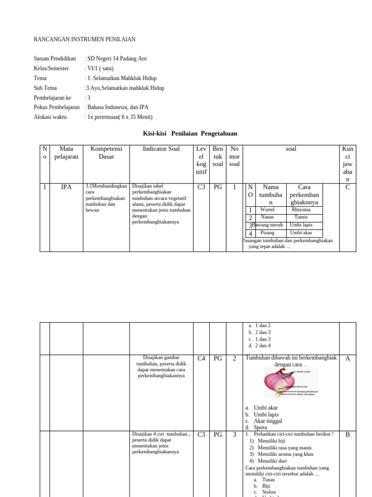Rancangan Instrumen Penilaian RPP PPL 3 | PDF