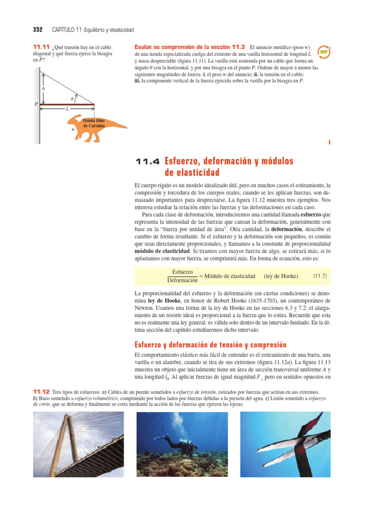 Elasticidad Sears y Semansky | PDF | Deformación (ingeniería) | Pascal ...