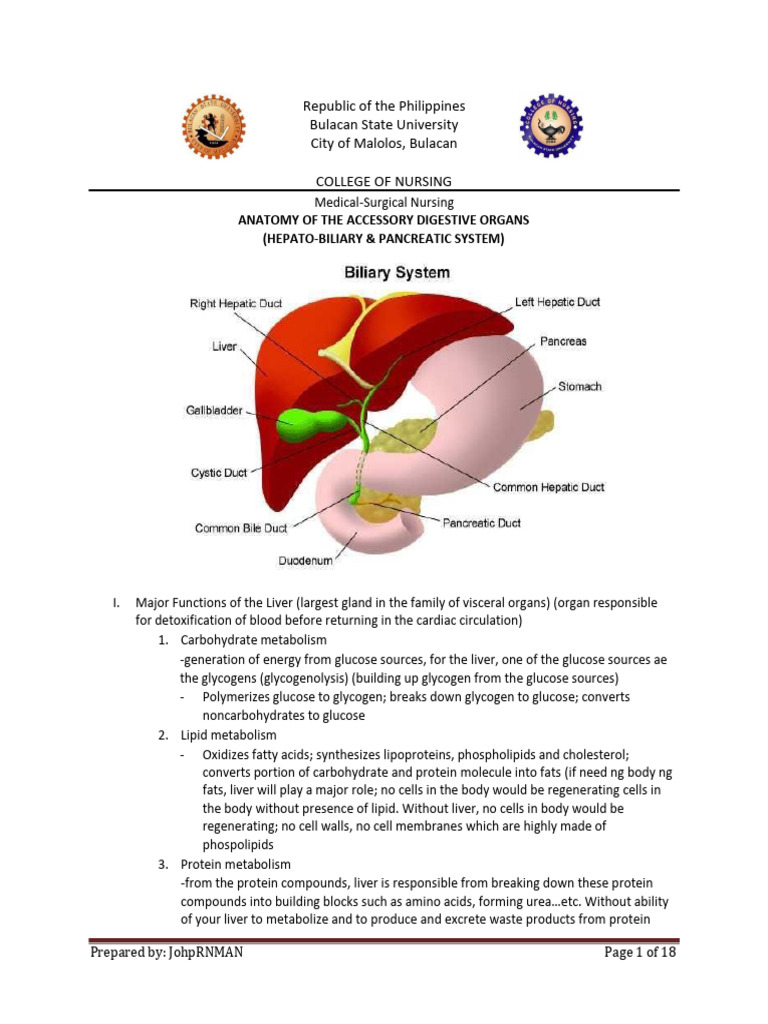 Hepato-Biliary & Pancreatic System | PDF | Pancreas | Hepatitis