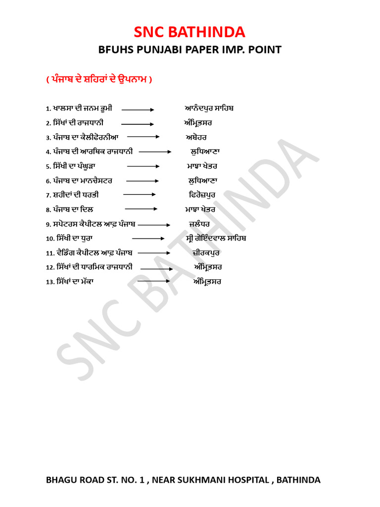 PUNJABI PAPER- A IMP. POINT | PDF