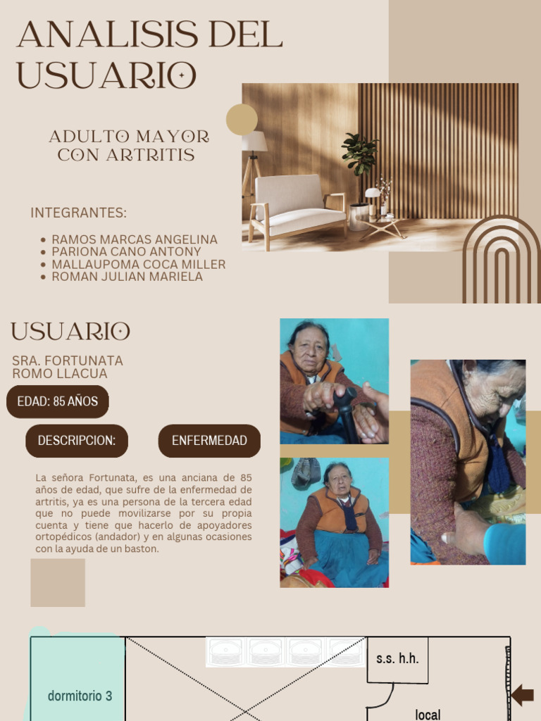 Analisis Del Ususario | PDF