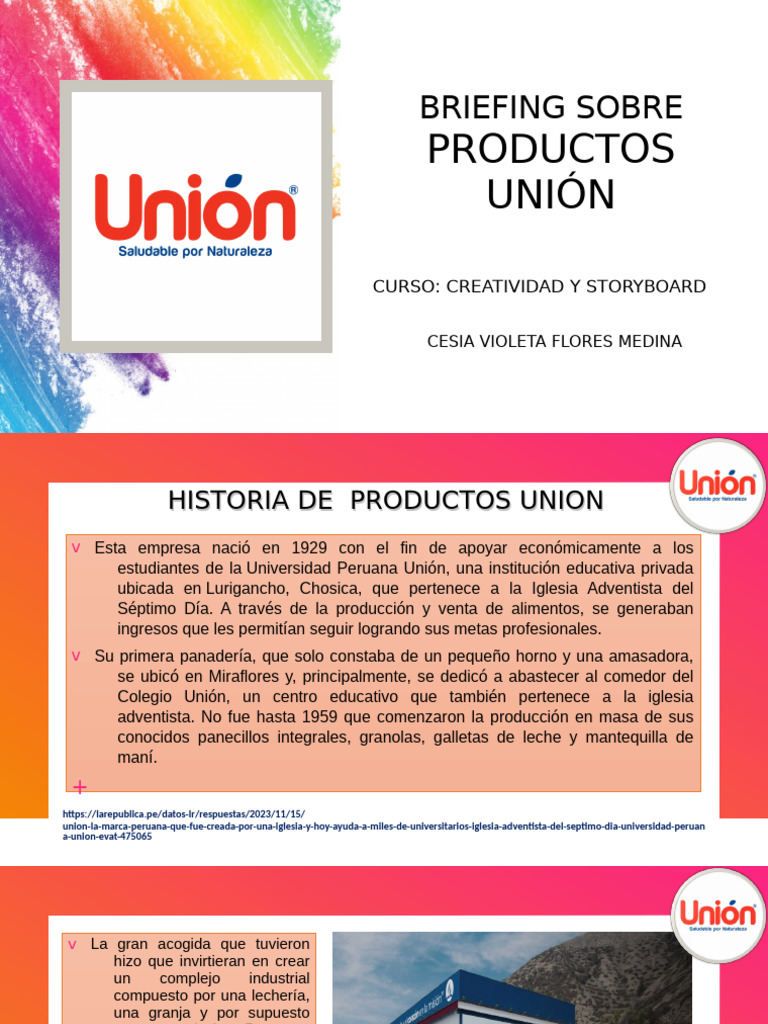 Brief de Productos Union | PDF