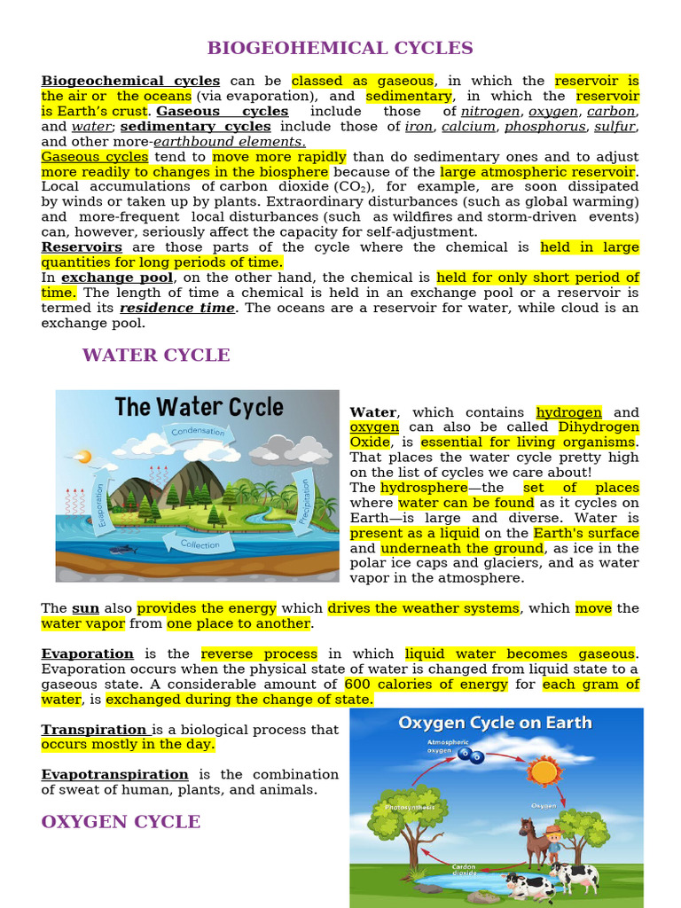 Understanding Biogeochemical Cycles | PDF | Nitrogen | Ammonium