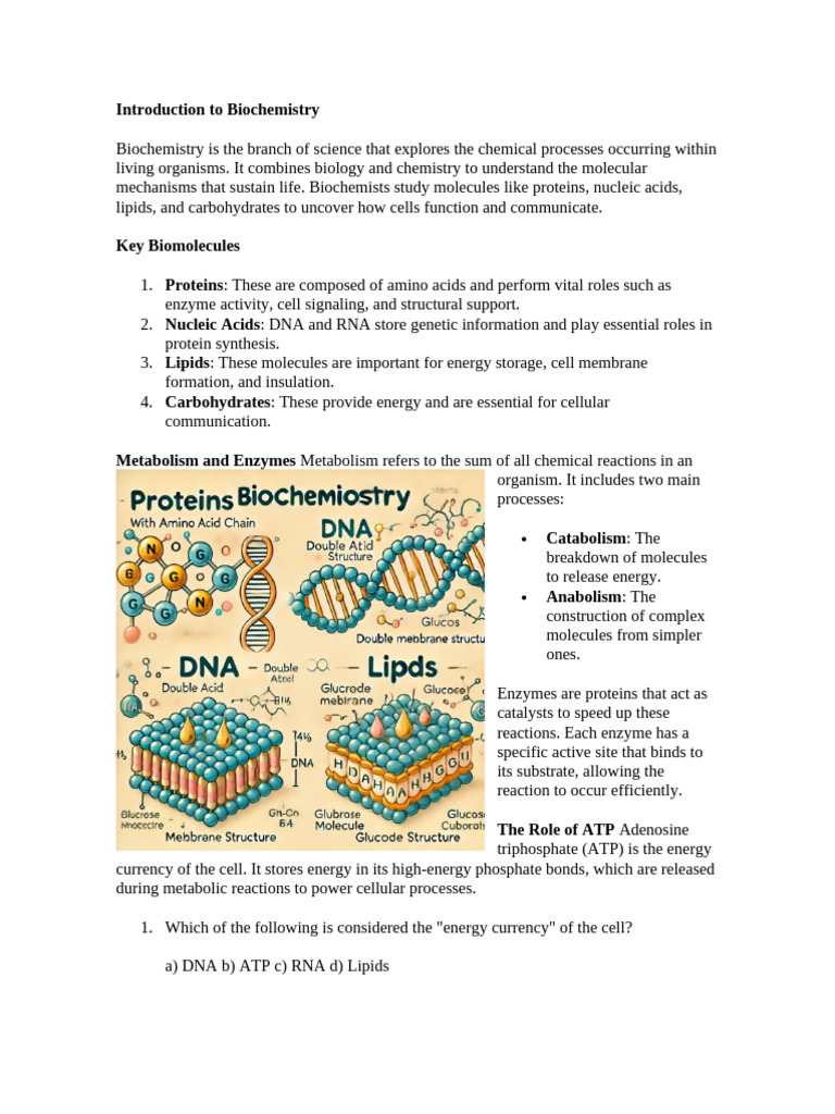 Introduction To Biochemistry | PDF | Metabolism | Biochemistry