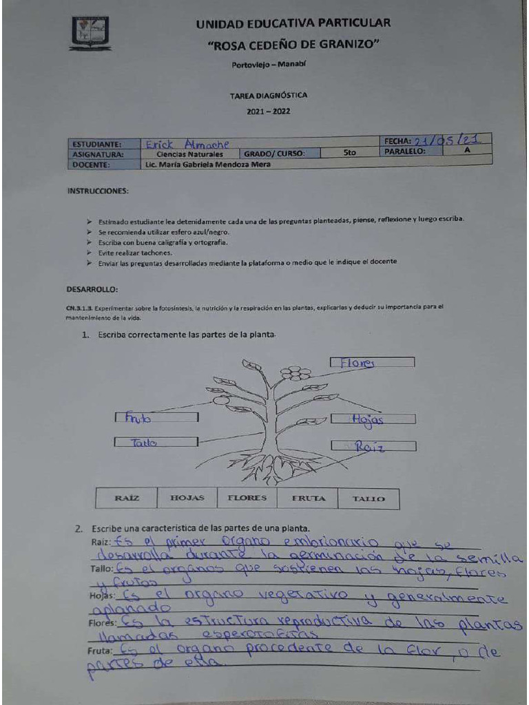 CCNN Evaluacion Diagnostica | PDF