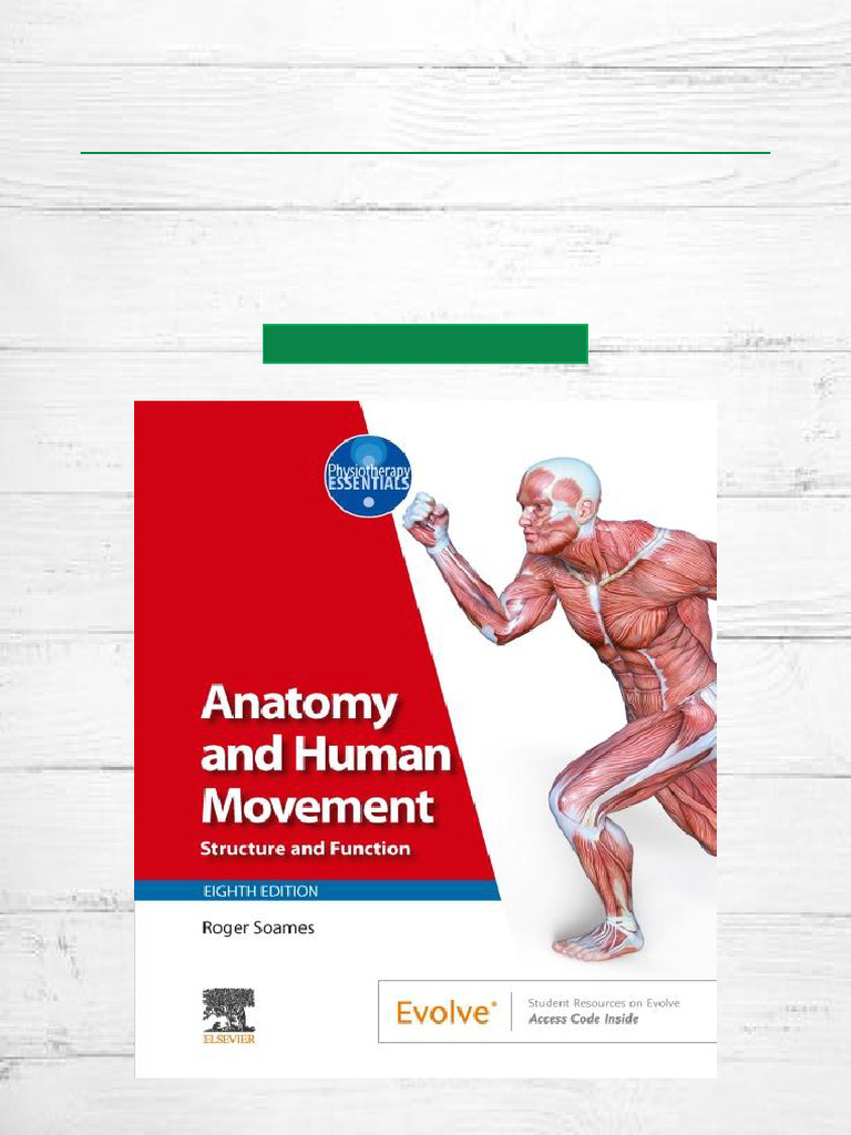 Anatomy and Human Movement 8th Edition | PDF | Human Leg | Human ...