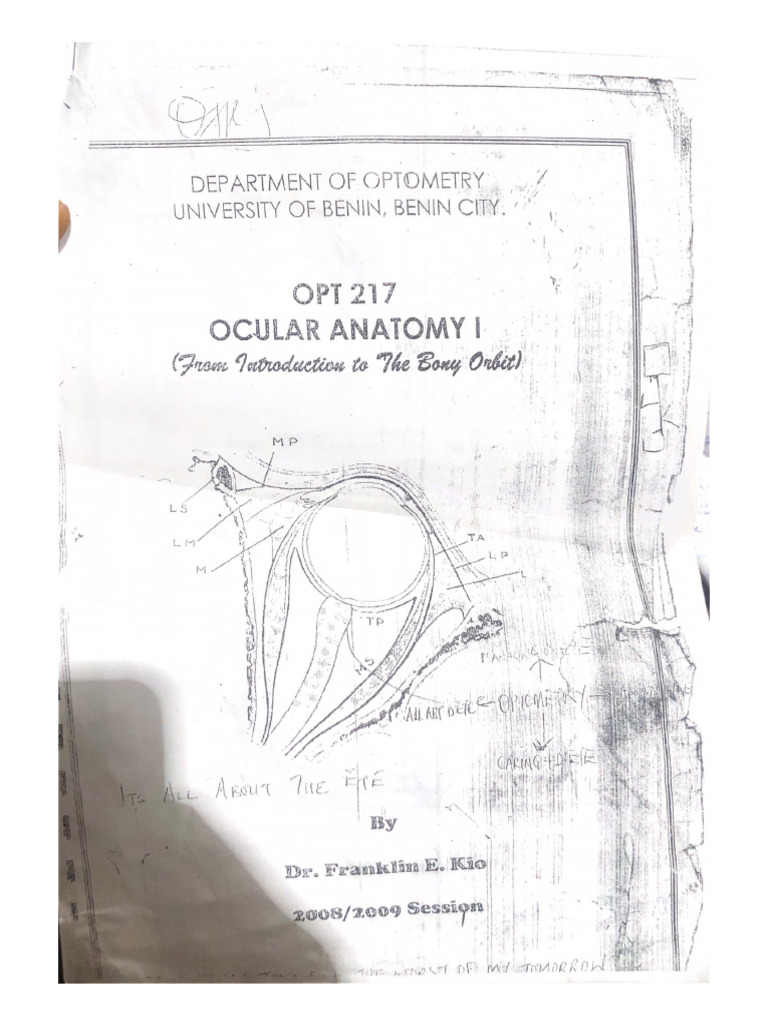 Ocular Anatomy PT1 | PDF