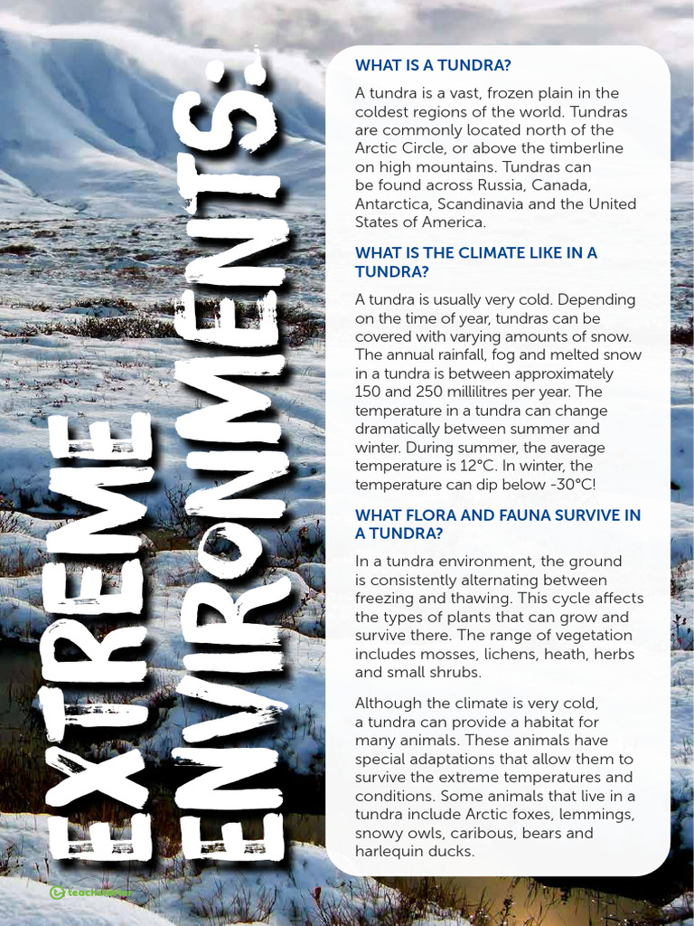Tundra and Desert Environments Explained | PDF | Desert | Earth Sciences