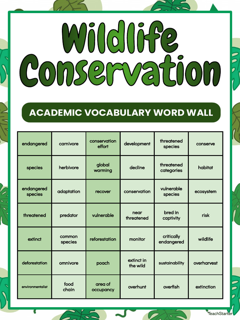 Wildlife Conservation Vocabulary Words PDFCOL | PDF