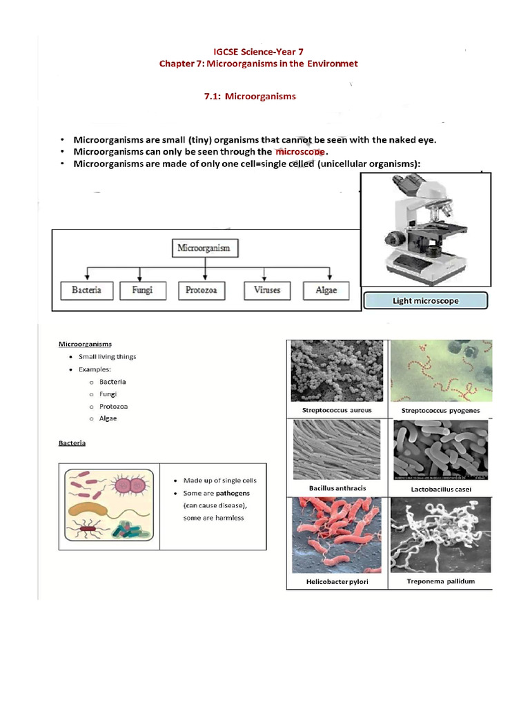 Unit 7 Microorganisms in The Environment | PDF