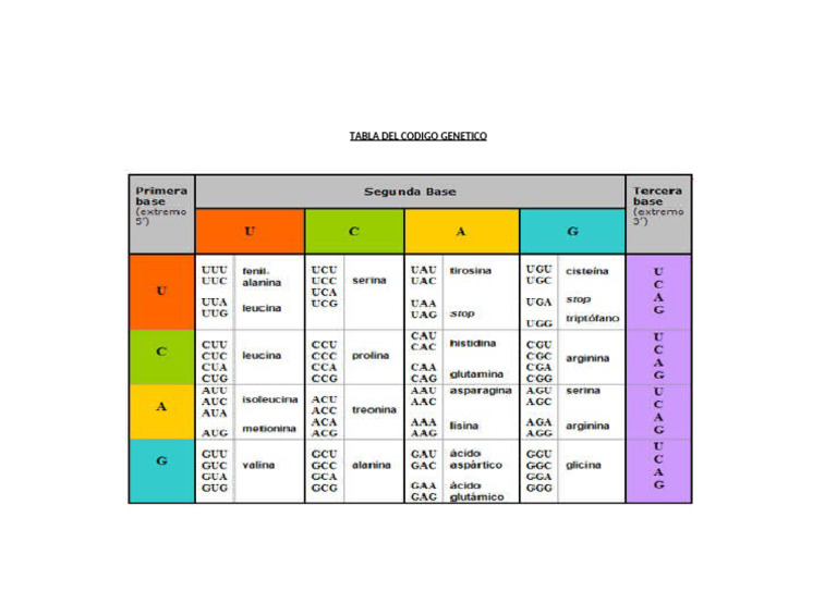 Tabla Del Codigo Genetico | PDF