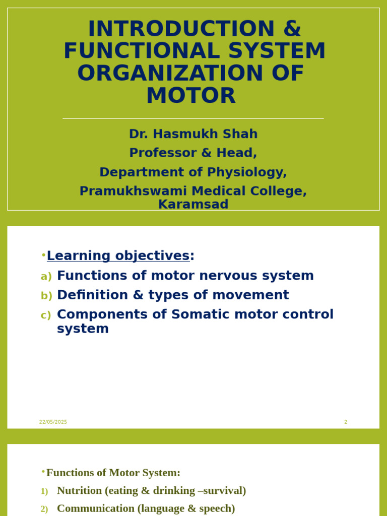 Motor System Functions and Control | PDF | Motor Neuron | Spinal Cord