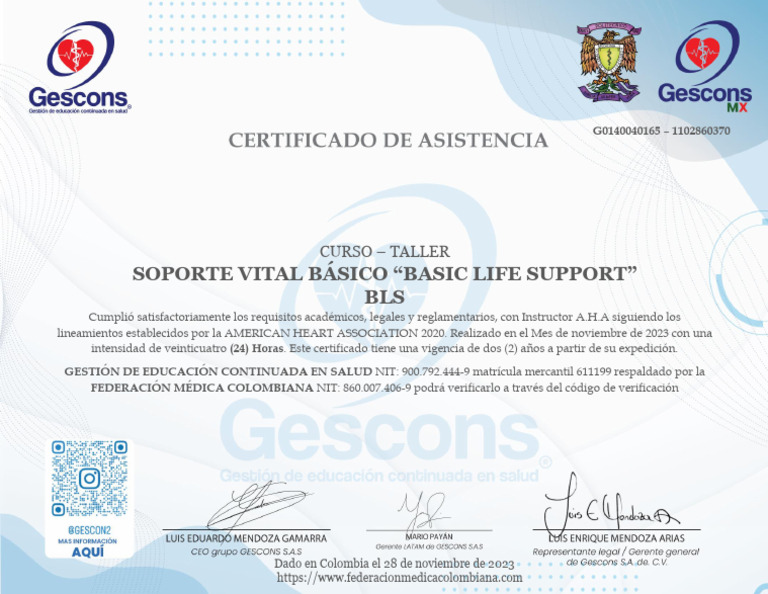 bls- EDGAR JOSE AMIN RIOS | PDF