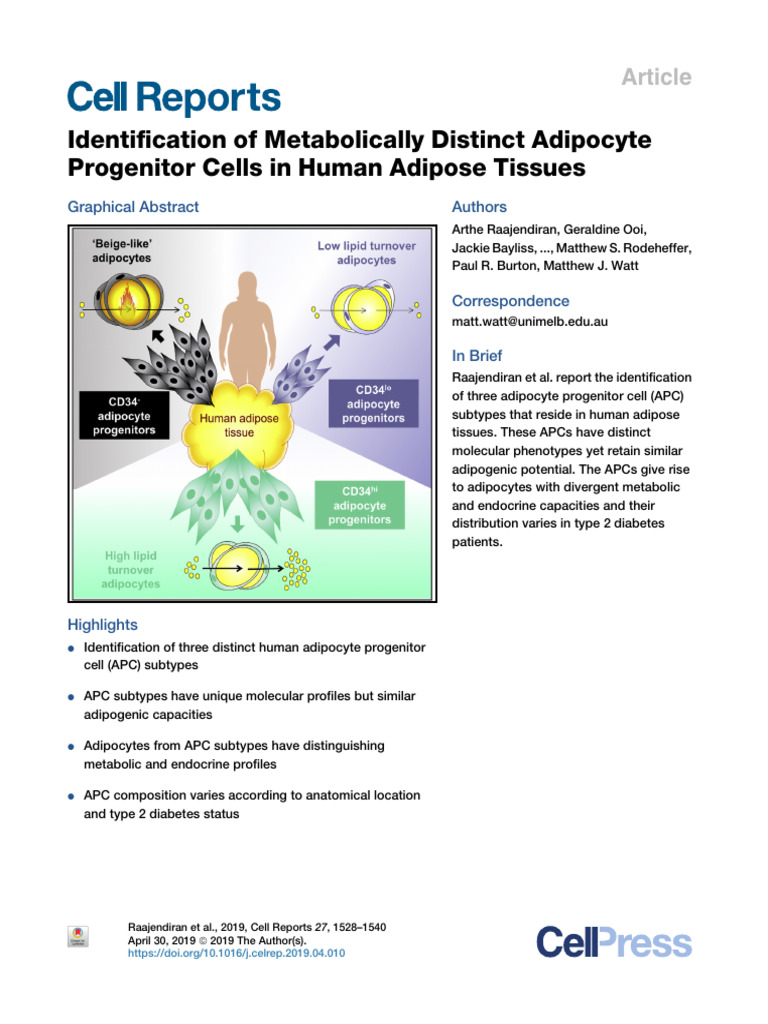 PIIS2211124719304656 Células Progenitoras Adipocitos | PDF | Adipose ...