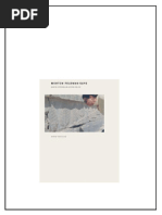 Quicksilver - Kingfisher's POV | PDF