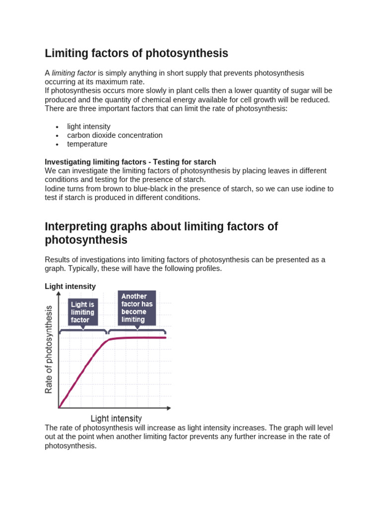 Limiting Factor of Photosynthesis | PDF