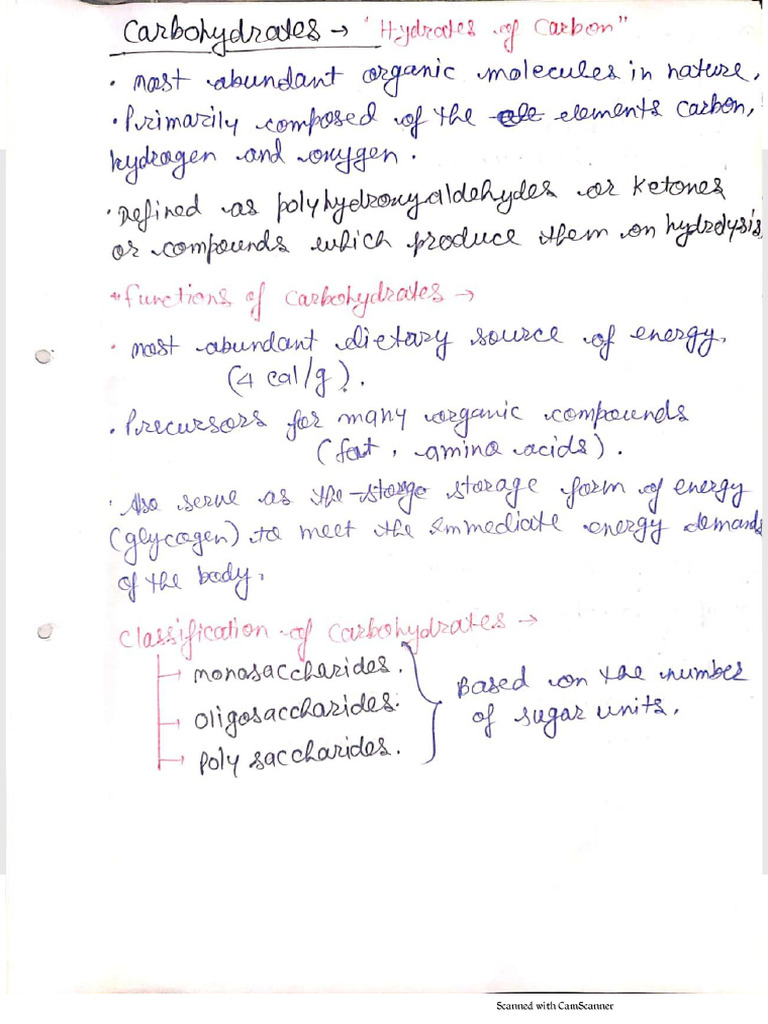 Carbohydrates | PDF