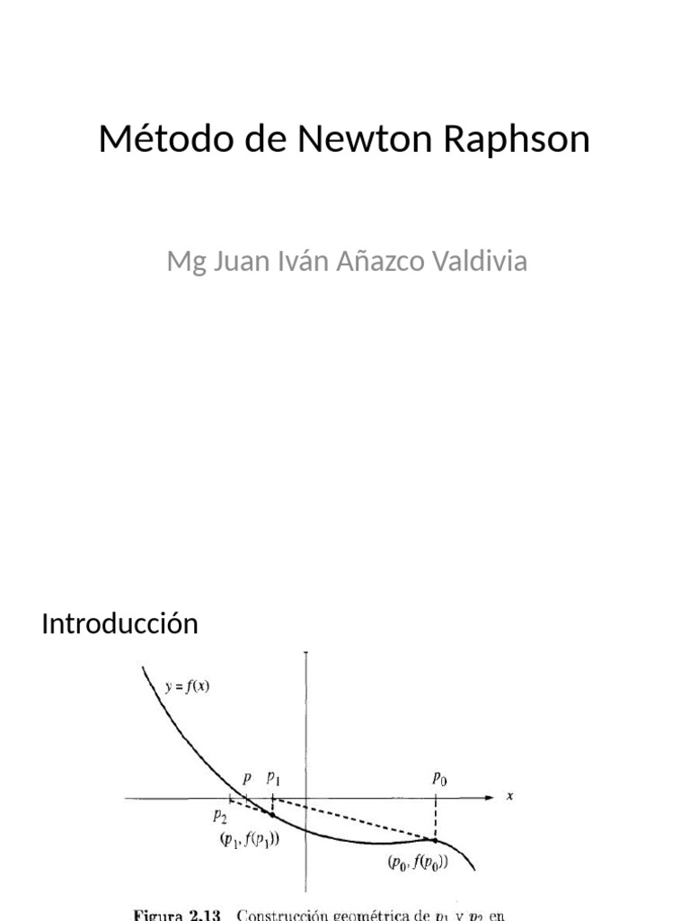 Método de Newton Rapson | PDF