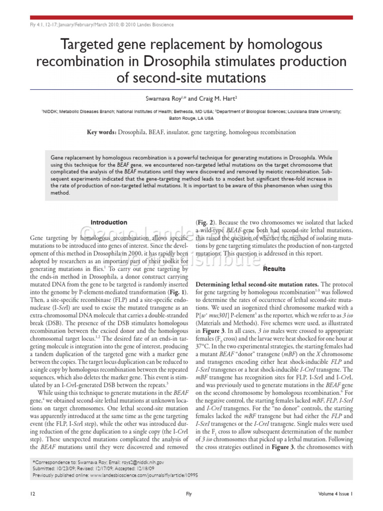 Targeted Gene Replacement by Homologous Recombination in Drosophila ...