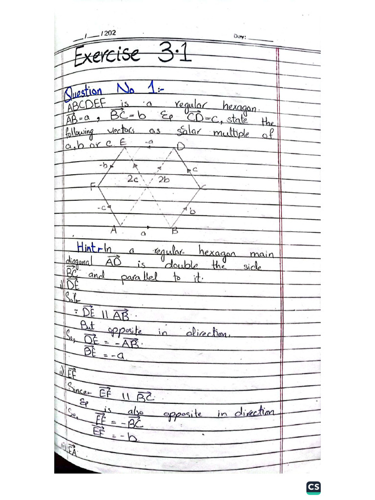 1st Year CHP 3 Exercise 3.1 | PDF