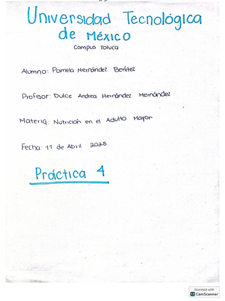 Práctica Final | PDF