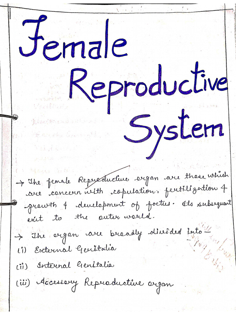 Unit 1 Female Reproductive System | PDF