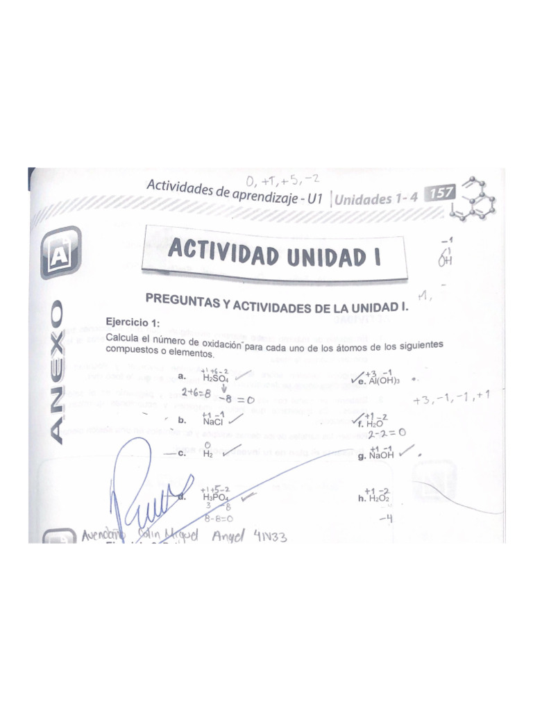 Actividad Unidad I-1 | PDF