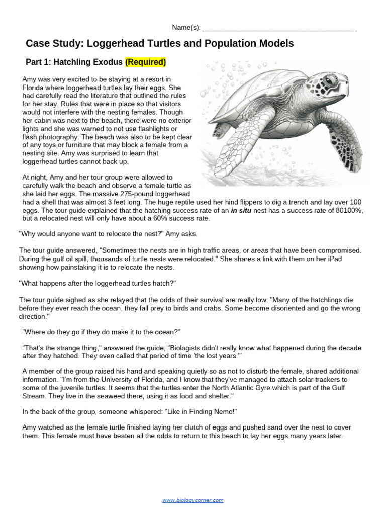 Case Study - Loggerhead Turtles and Survivorsh | PDF | Turtle | Sea Turtle