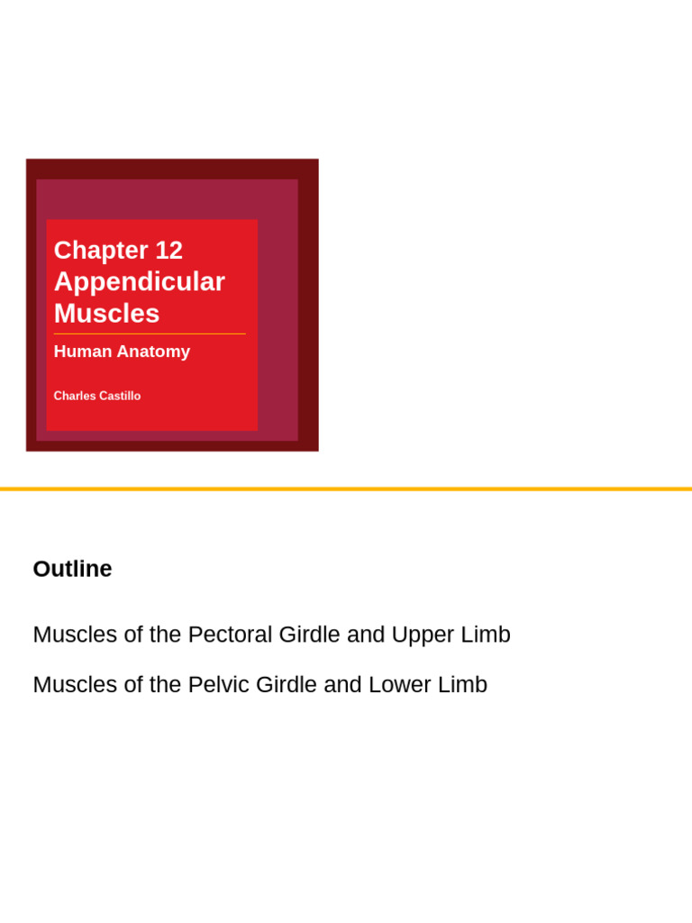 Ch 12 Appendicular Muscles | PDF | Thumb | Hand