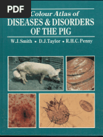 Normal Vital Signs for Common Animals | PDF | Dairy Cattle | Cattle
