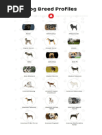 PCCI Dog Registration Guidelines | PDF | Dog Breeding | Dog Breeds