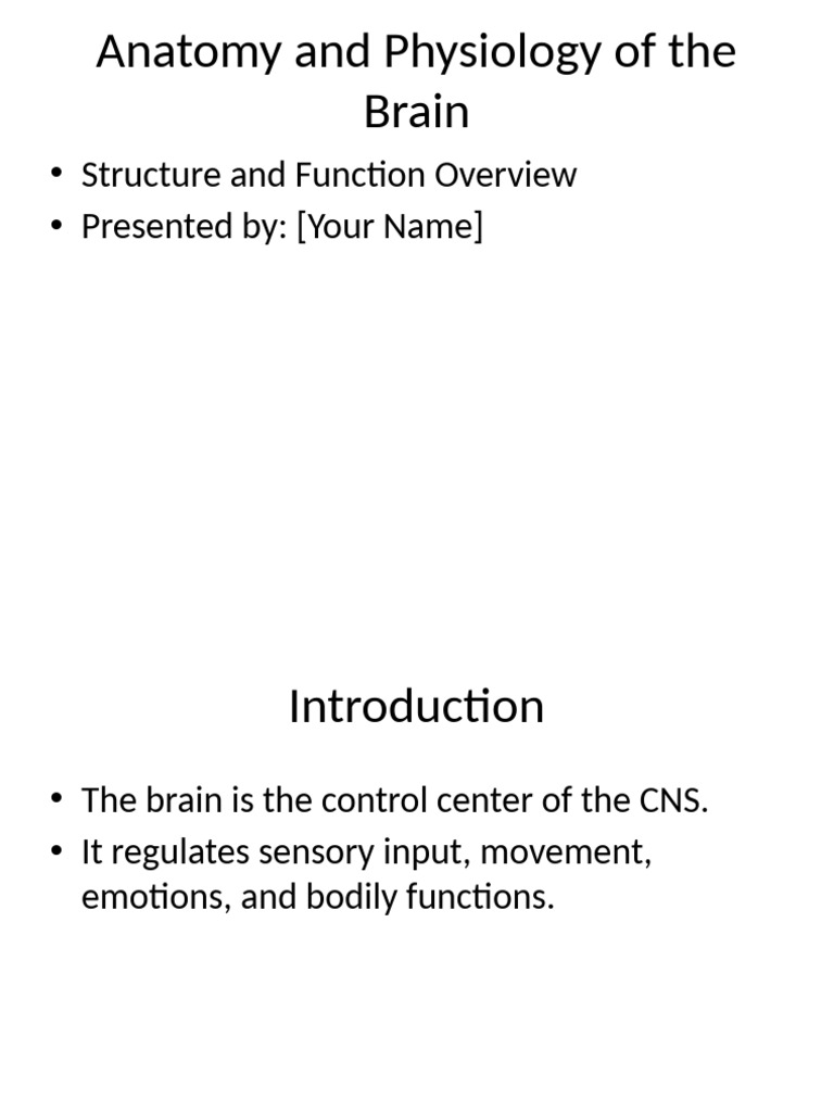 Brain Anatomy and Physiology Overview | PDF