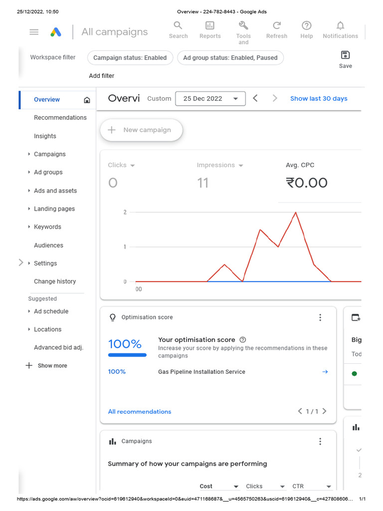 Google Ads Overview and Insights | PDF | Advertising | Aggregation Websites