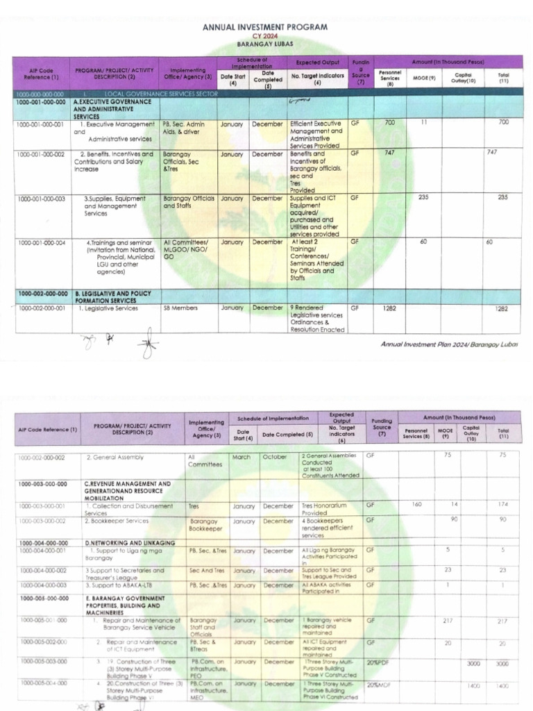 Annual Investment Program 2024 | PDF