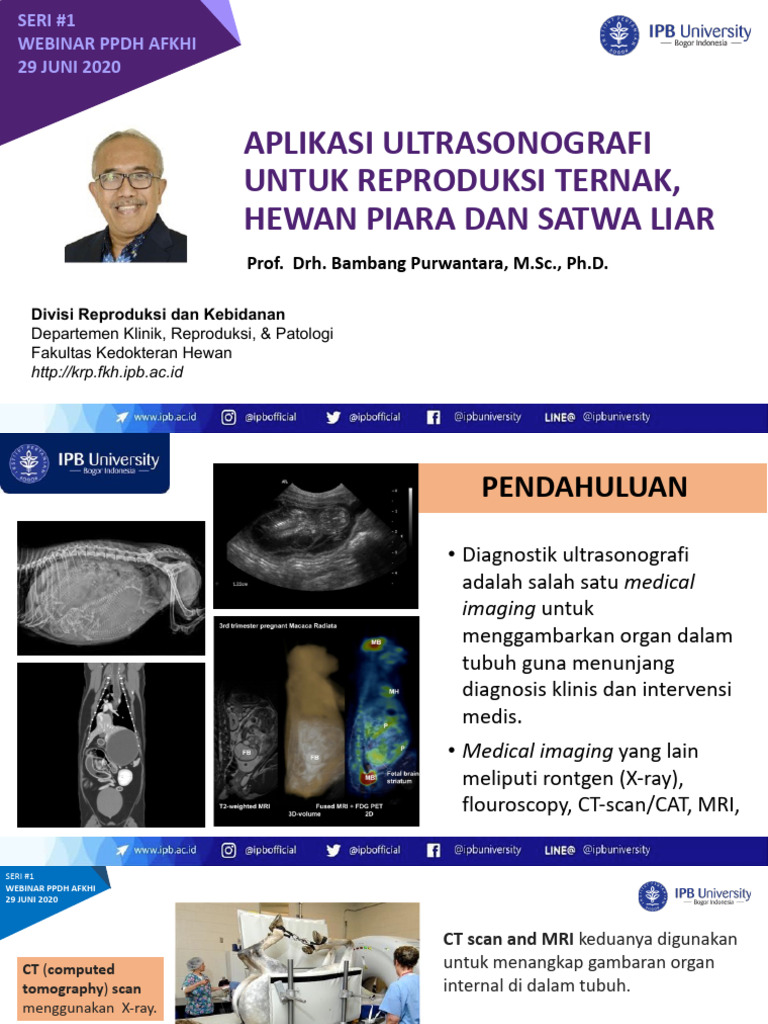 (9_11) BPP_PPDH AFKHI - Aplikasi Ultrasonografi | PDF