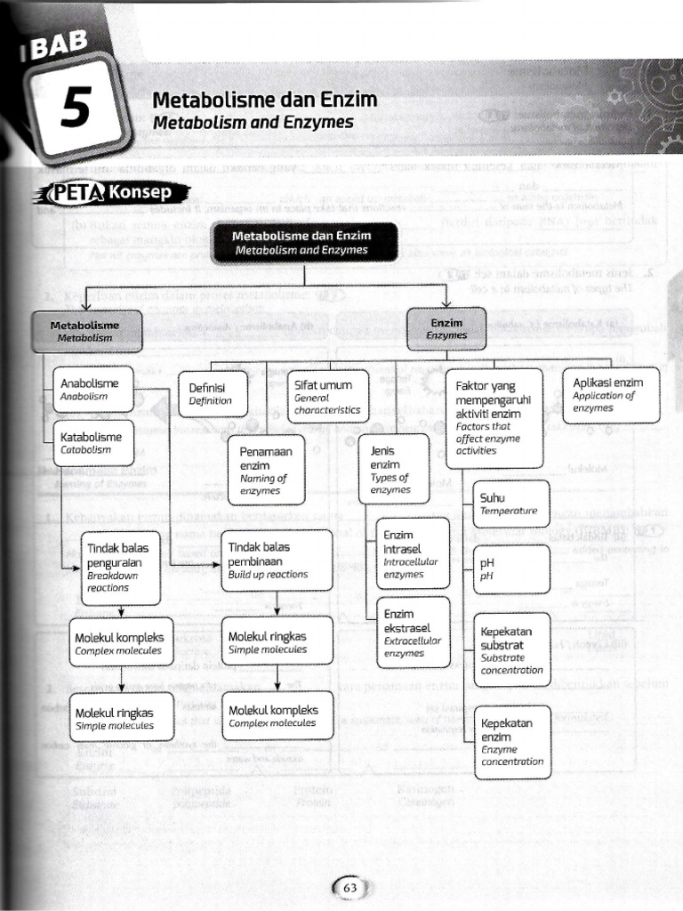 Biology F4 C5 Module | PDF